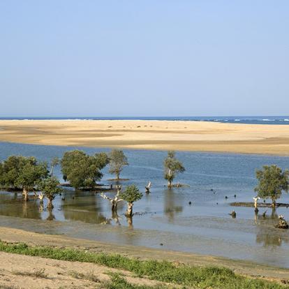Guide de Voyage de Madagascar - Tuléar (Toliara) | Le Voyage Autrement