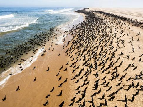Guide de Voyage de Namibie - Walvis Bay | Le Voyage Autrement