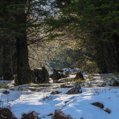 Circuit au Liban - Le Liban Sous La Neige | Le Voyage Autrement