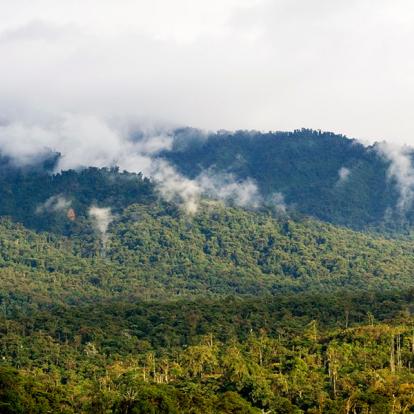 Circuit en Equateur - Au cœur de l'Amazonie profonde Equatorienne | Le ...