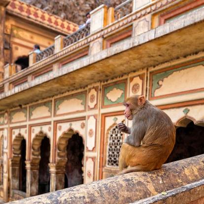 Circuit en Inde - Le Trésor Secret du Rajasthan | Le Voyage Autrement