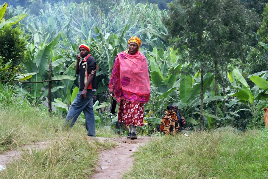 Tanzanie - Rencontre avec les Chaggas sur les flancs du Kilimandjaro ...
