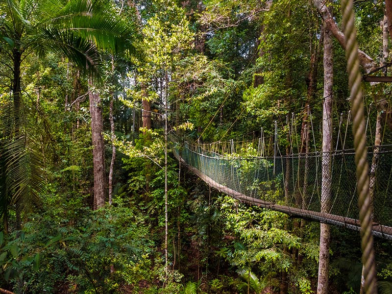 Voyage en Malaisie - Avis de Jean-Louis René SENEGA | Le Voyage Autrement