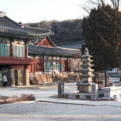 Guide de Voyage de Corée du Sud - Suwon | Le Voyage Autrement
