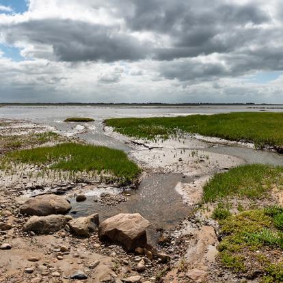 Guide de Voyage du Danemark - Mandø | Le Voyage Autrement