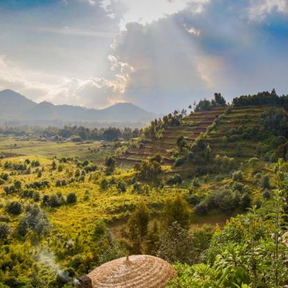 Guide de Voyage du Rwanda - Parc National des Volcans | Le Voyage Autrement