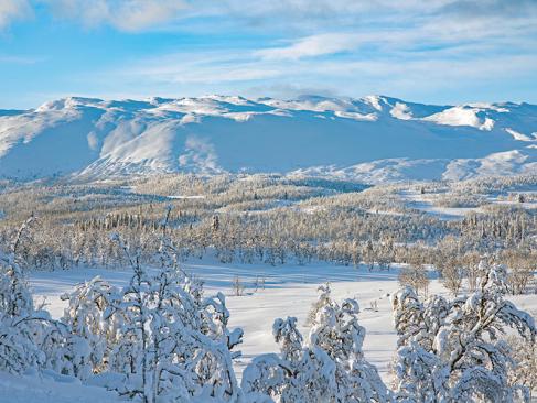 Guide de Voyage de Norvège - Telemark | Le Voyage Autrement