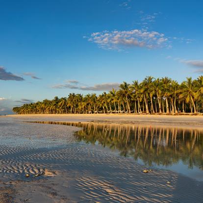 Guide de Voyage des Philippines - L'Ile de Bohol (Visayas) | Le Voyage ...