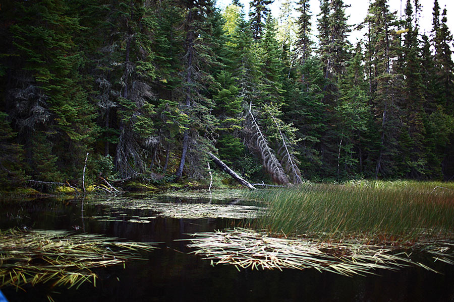 Canada - Les Atikamekw de Manawan | Le Magazine du Voyage Autrement