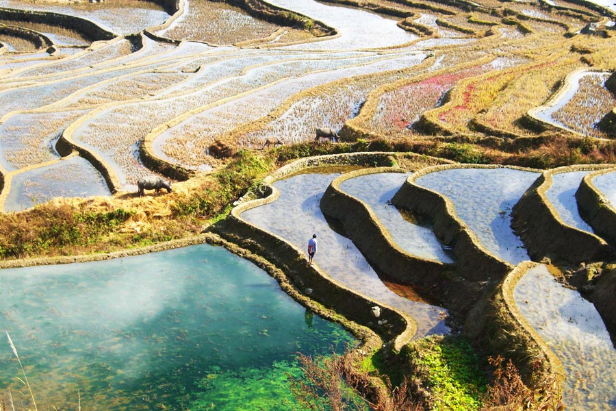 Chine - Les Rizières en Terrasses de Yuanyang | Le Magazine du Voyage ...