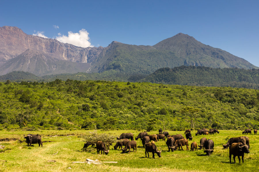 Circuit en Tanzanie - L’Ascension du Mont Meru | Le Voyage Autrement