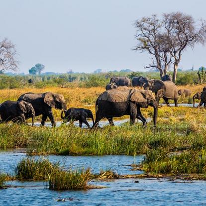 Circuit en Namibie - Du Namib aux Chutes Victoria | Le Voyage Autrement