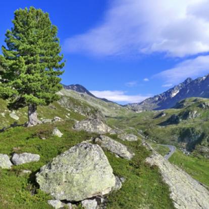 Guide de Voyage de Suisse - Canton des Grisons | Le Voyage Autrement
